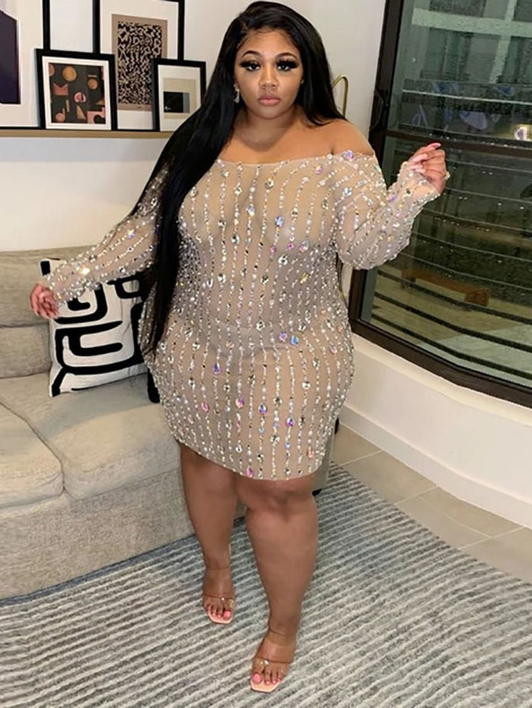 Plus Size Mesh Bodycon Dress