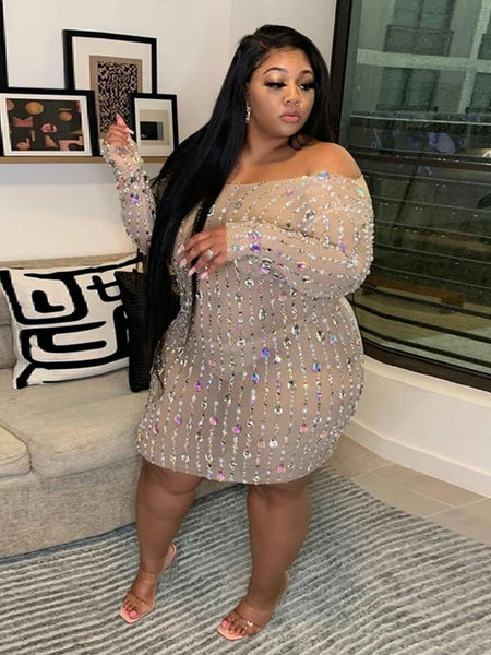 Plus Size Mesh Bodycon Dress